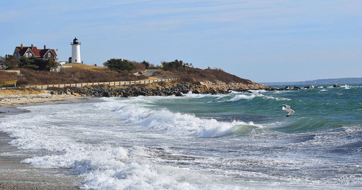Cape Cod Virtual Field Trip