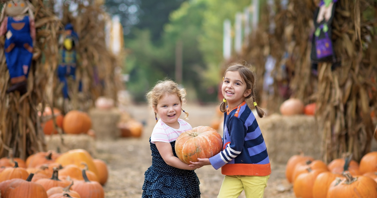 Pumpkin Patch Virtual Adventure