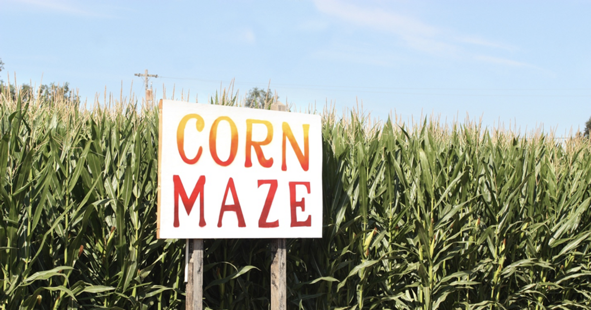 Corn Maze Virtual Adventure